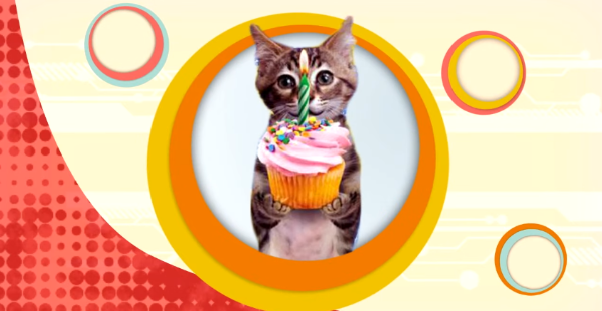351 Sweet Food Names For Cats Unique Stylish Creative 351 Sweet Food Names For Cats Unique Stylish Creative